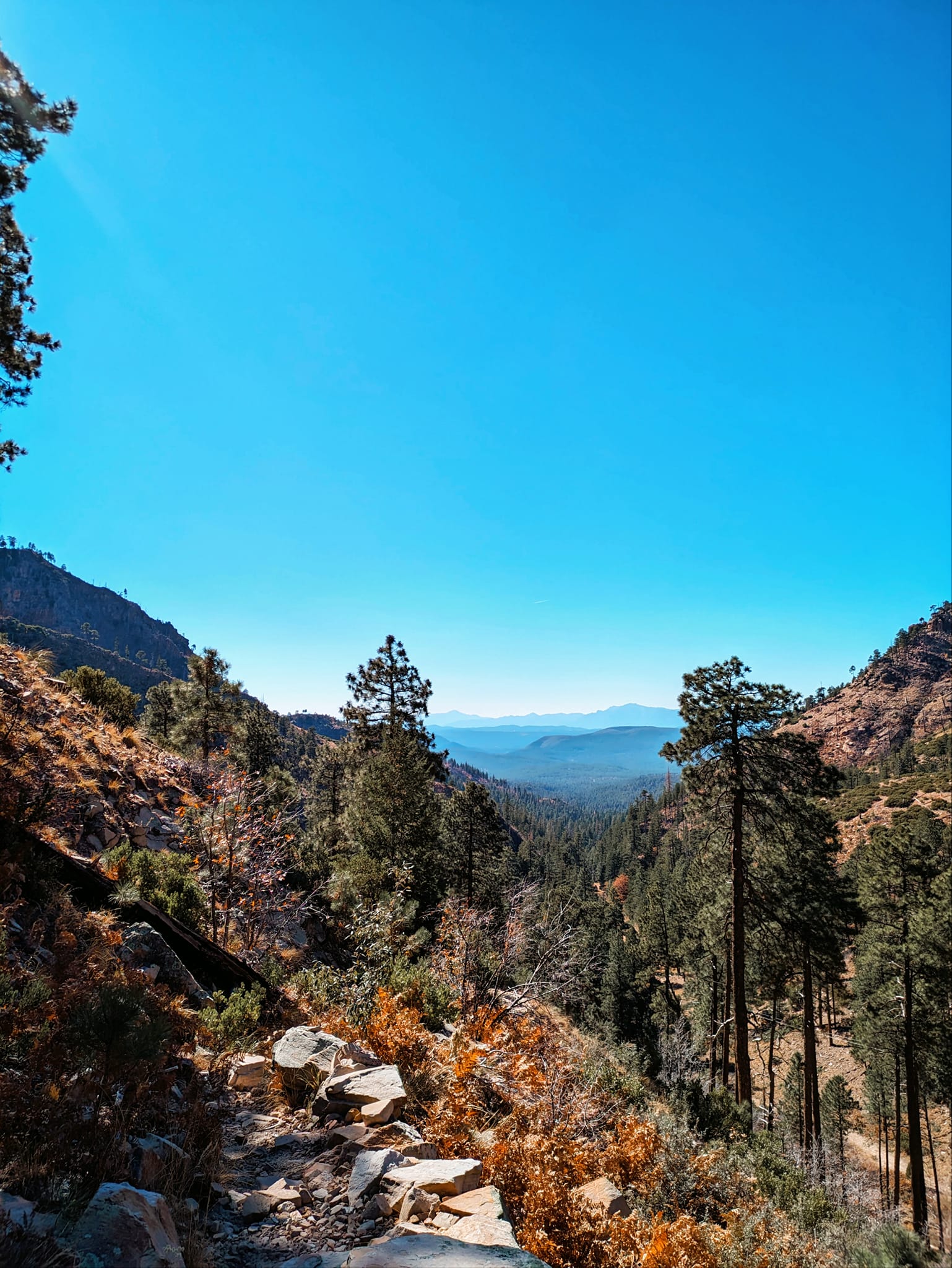 About – Divine Events